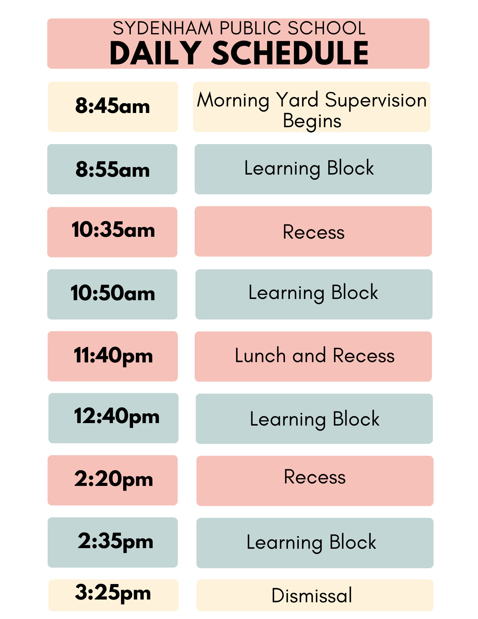 Daily Schedule